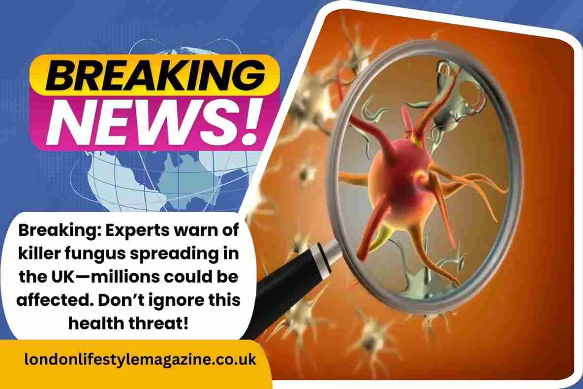 Warning over killer fungus in UK which could infect millions
